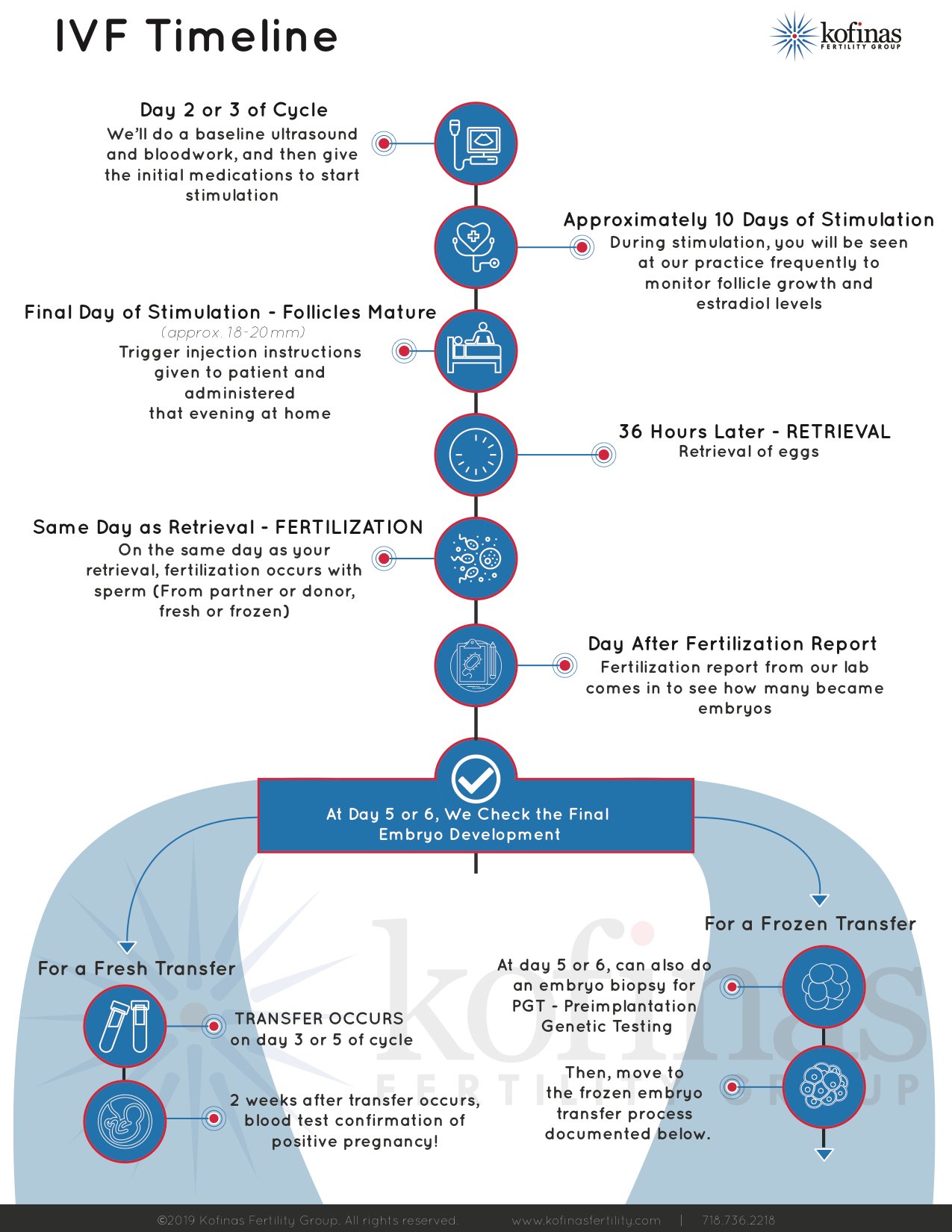IVF Timeline | Kofinas Fertility